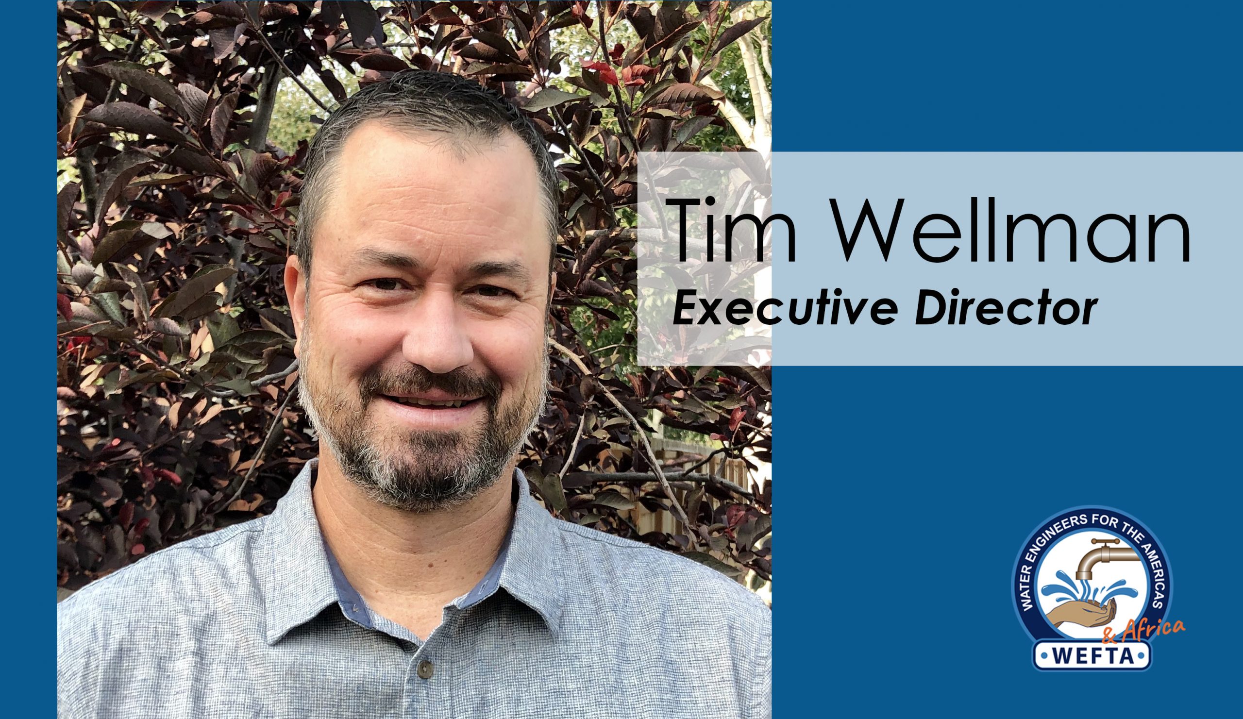 Meet Our New Executive Director - WEFTA